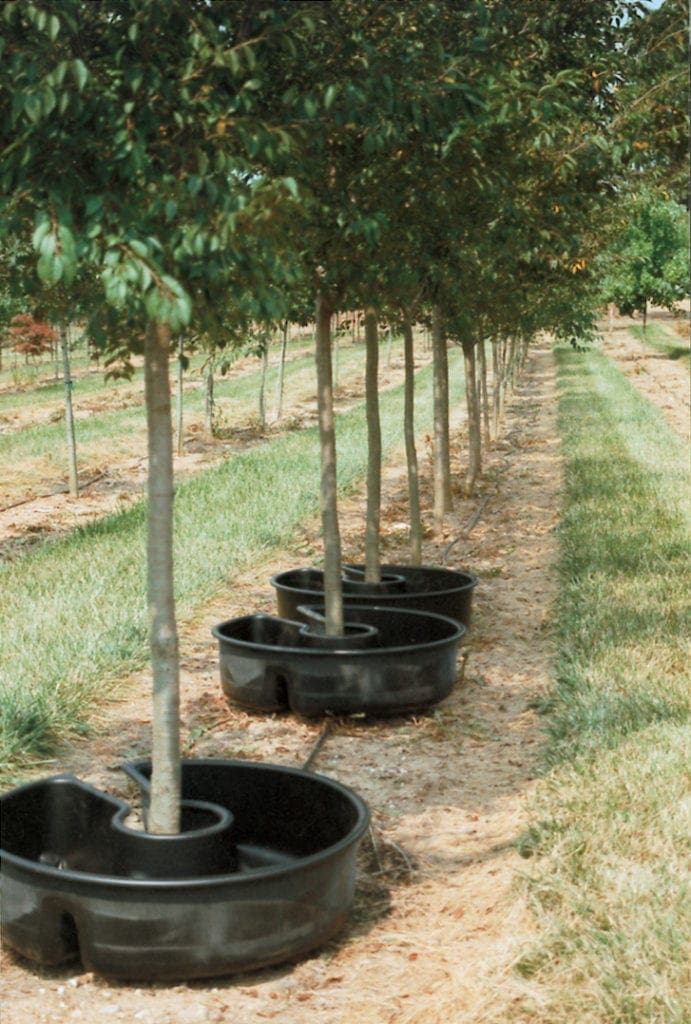 Tree Watering Rings | BioPlex Tree Rings