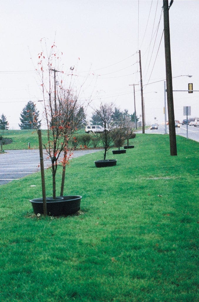Tree Watering Rings | BioPlex Tree Rings